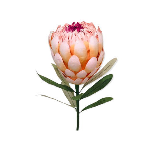 BEIGE: Princess Protea paper flower - NIBBANAH