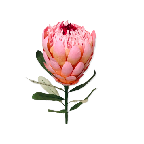 PINK: Princess protea paper flower - NIBBANAH