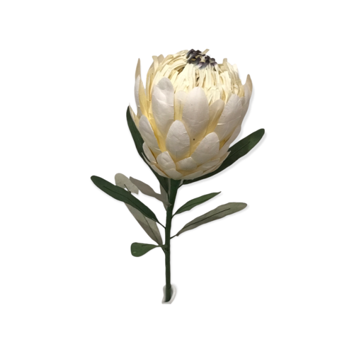 WHITE: Princess Protea paper flower - NIBBANAH