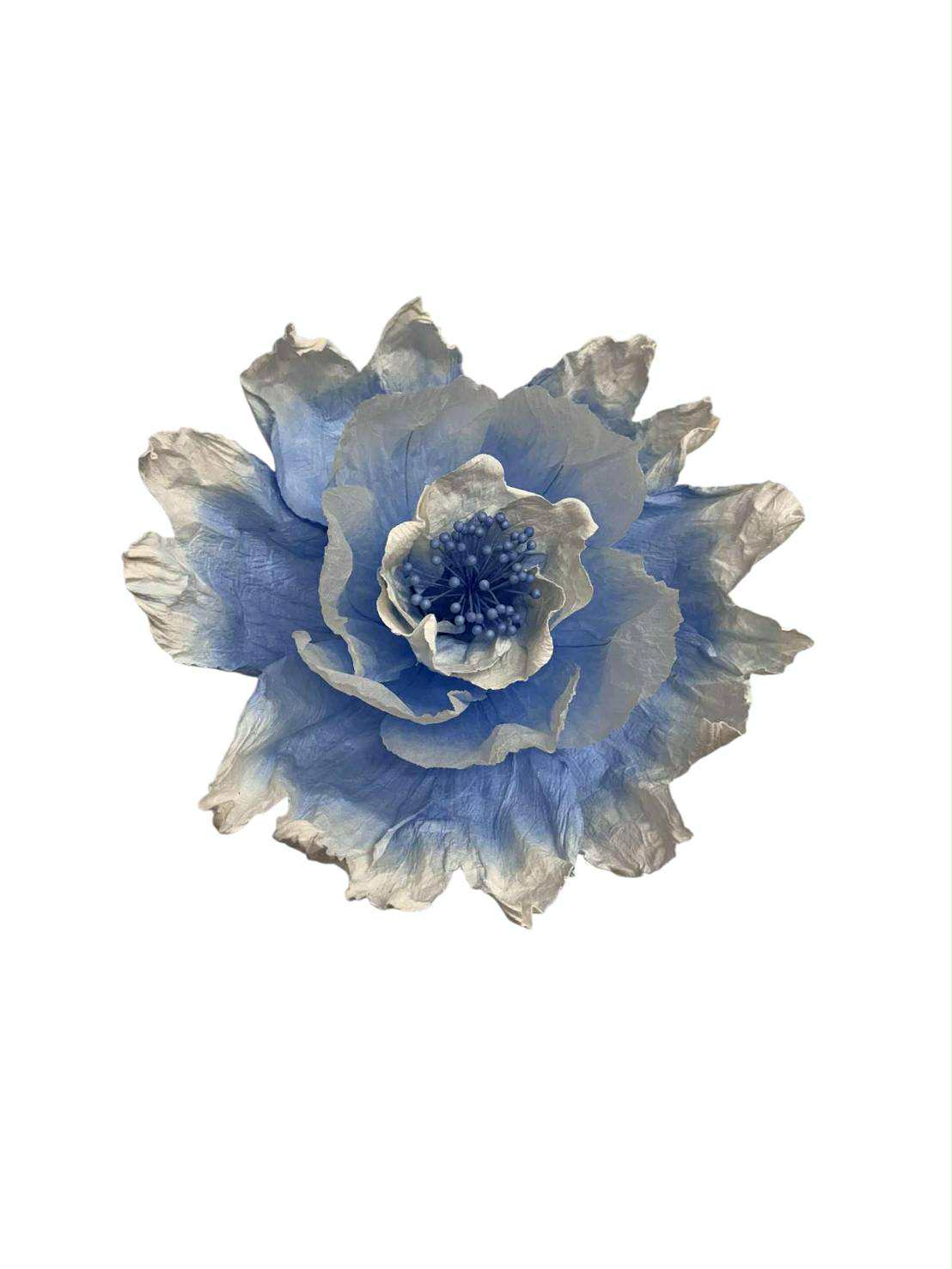 Baby blue : Bell flower - NIBBANAH